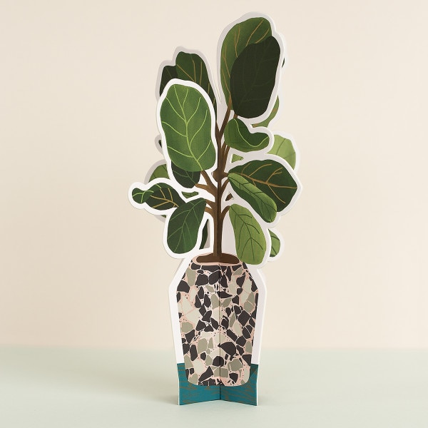 Fiddle Leaf Fig Paper Plant | Seltzer Goods